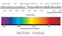 LED OF WAVELENGTH (Λ) - RIO Dynamic