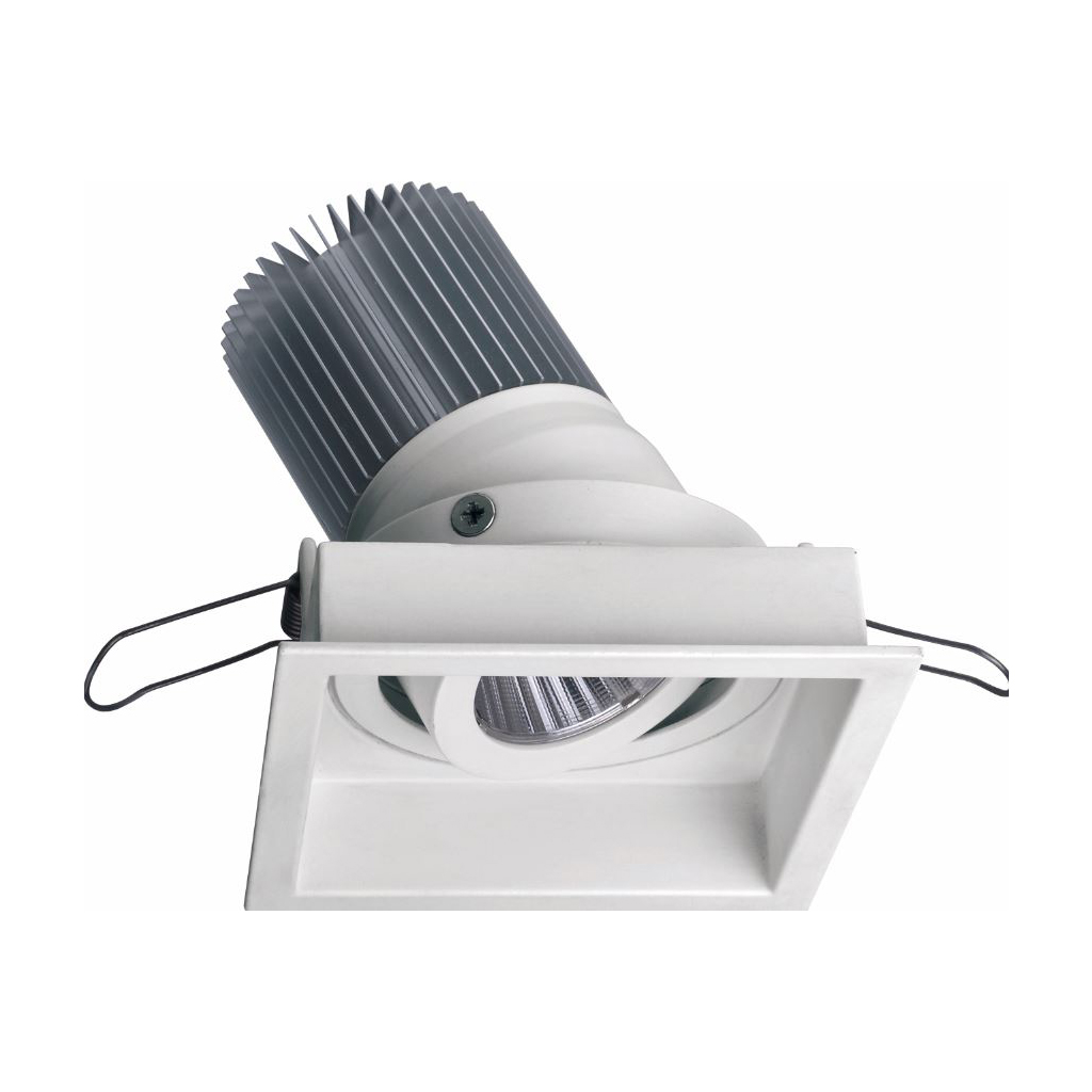 LDL217 LED Downlight - RIO Dynamic