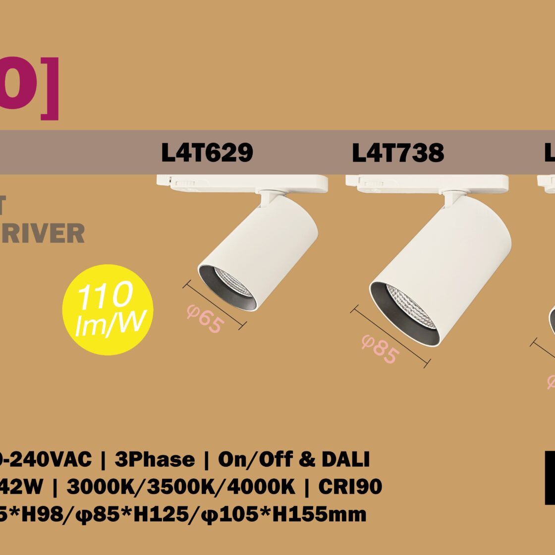 Product Category - RIO Dynamic