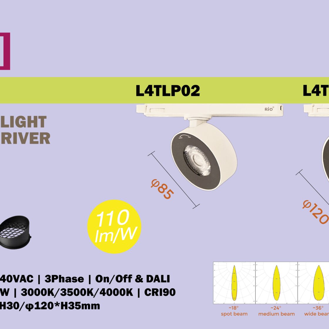 Contact Us - RIO Dynamic